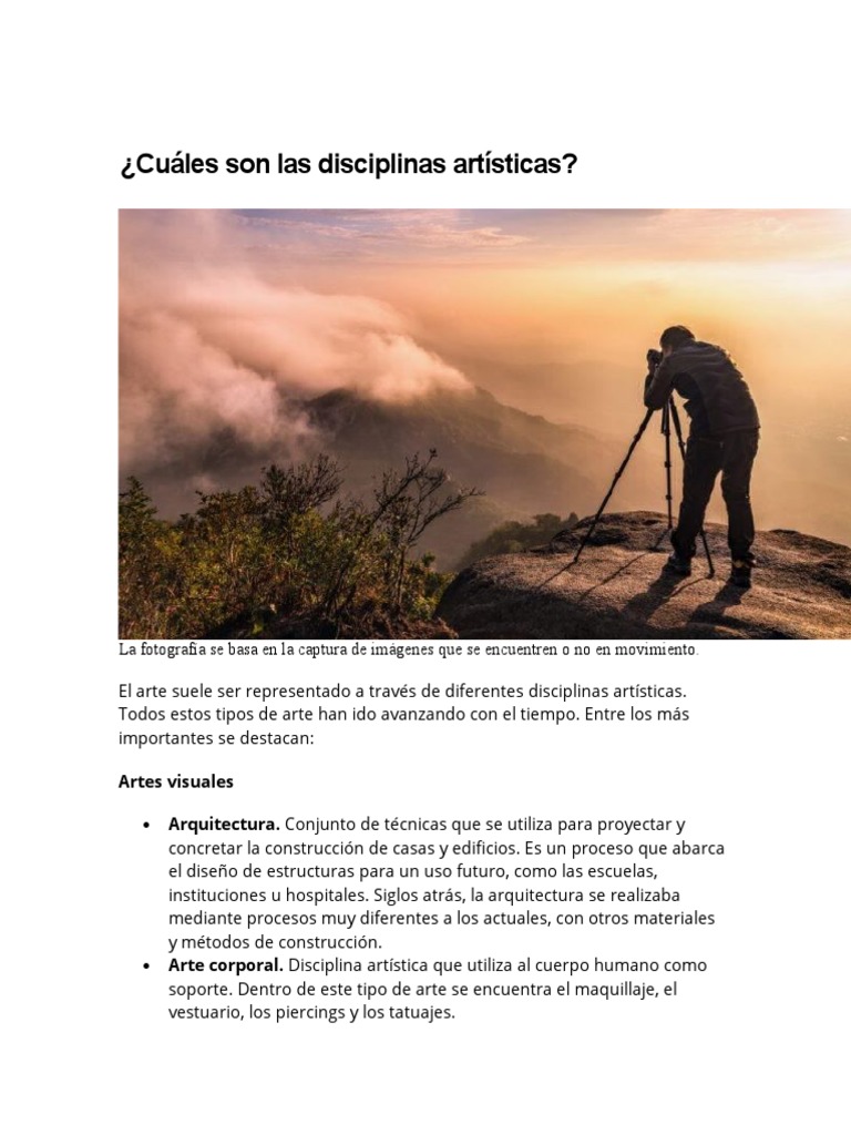 Disciplinas Artísticas Esenciales | PDF | Imagen | Dibujo