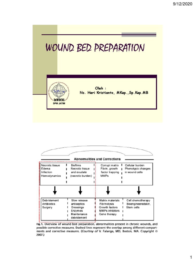 Timely Wound Care: Principles and Methods of Effective Wound Bed ...
