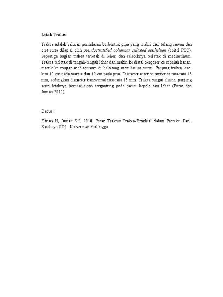 Letak Trakea | PDF