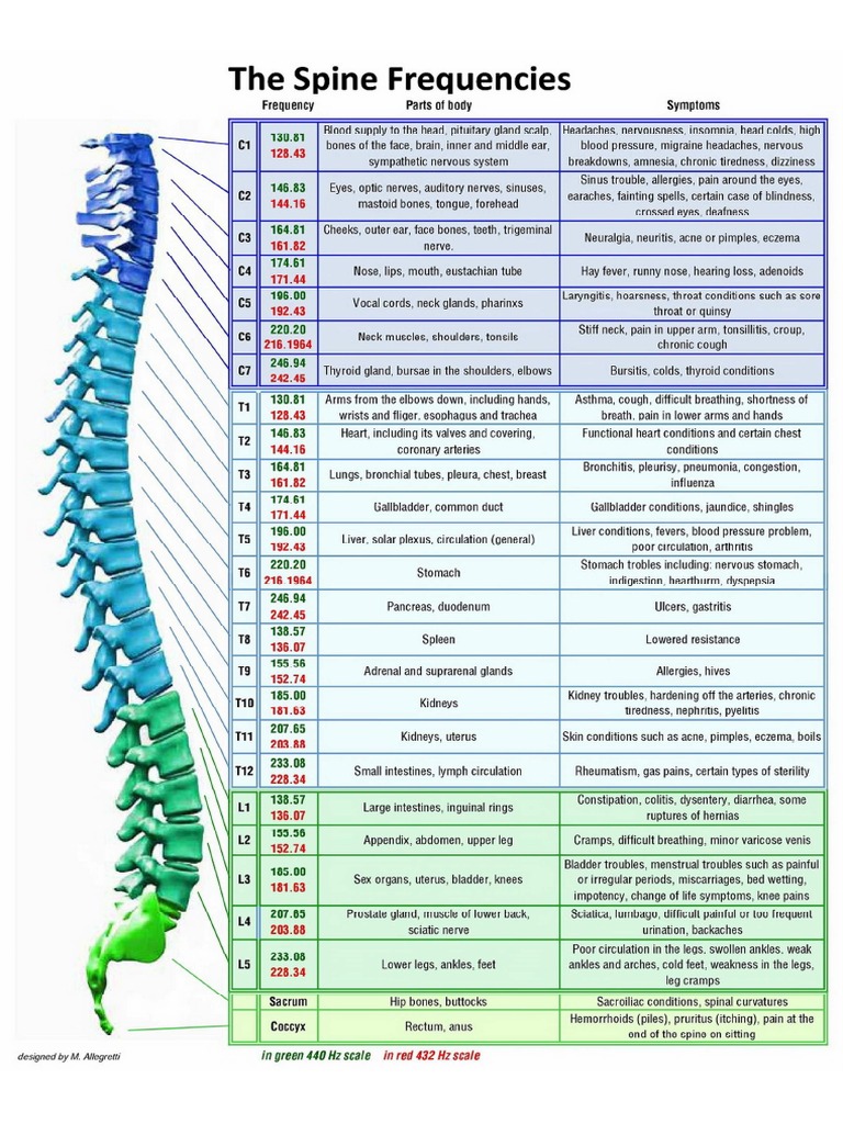 The Spine Frequencies | PDF