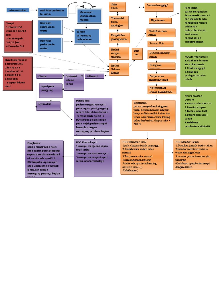 Mind Maping Infeksi Saluran Kemih | PDF