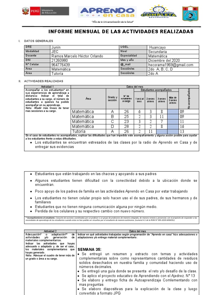 Informe de Actividades Docentes 2020 | PDF | Evaluación | Aprendizaje
