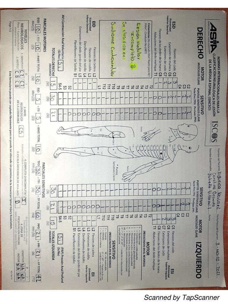 Escala de Asia | PDF