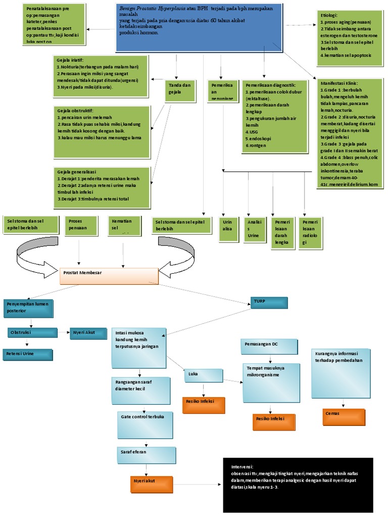 Mind Maping BPH-1 | PDF