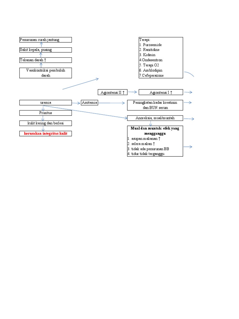 Mind Mapping CKD | PDF