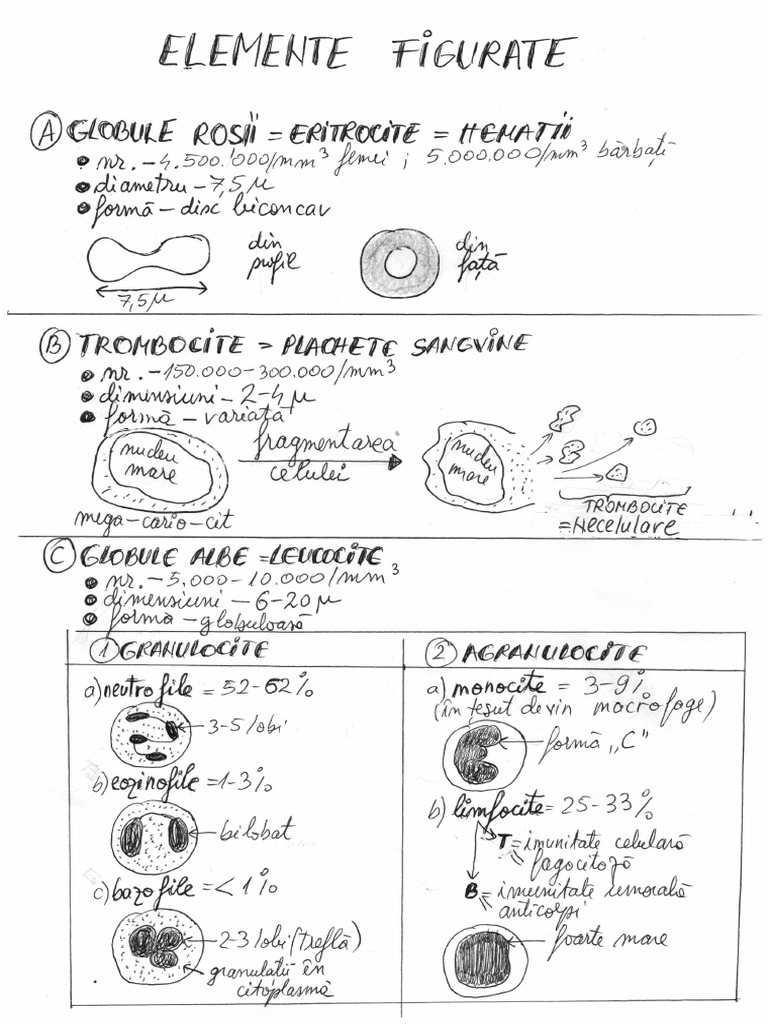 Elemente Figurate Desene | PDF