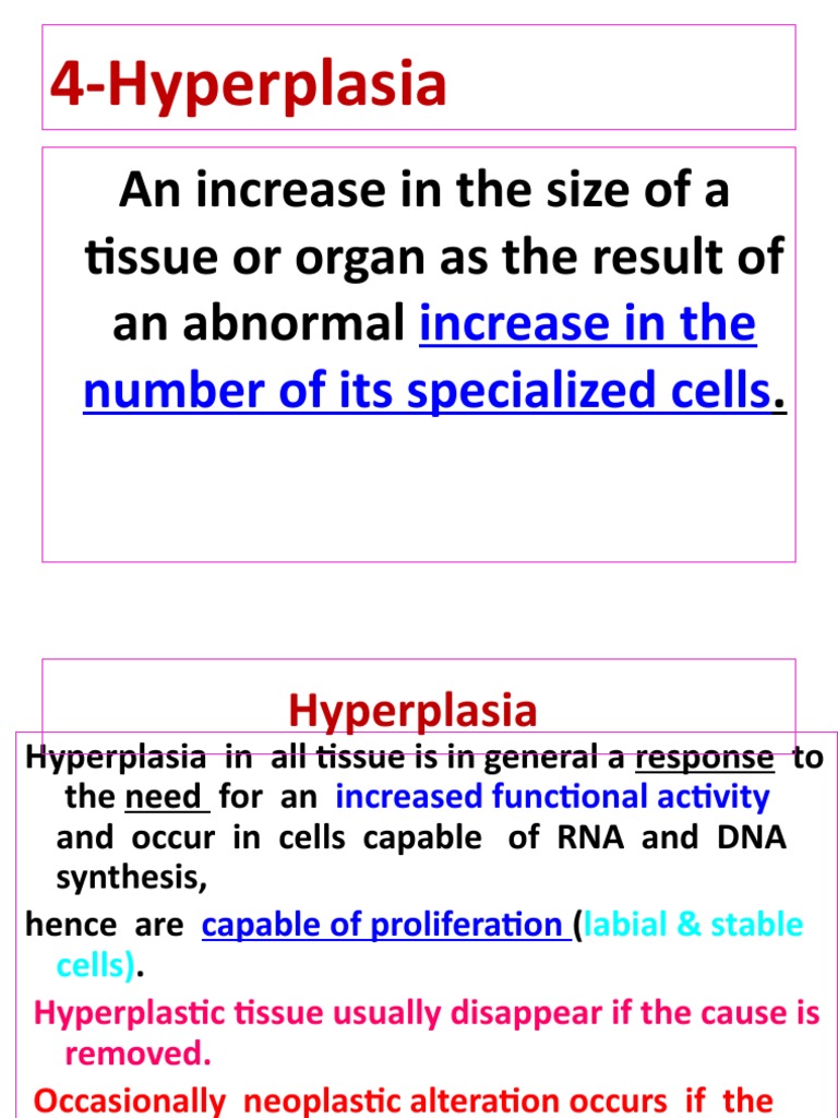Understanding Hyperplasia and Its Causes | PDF | Epithelium | Neoplasms