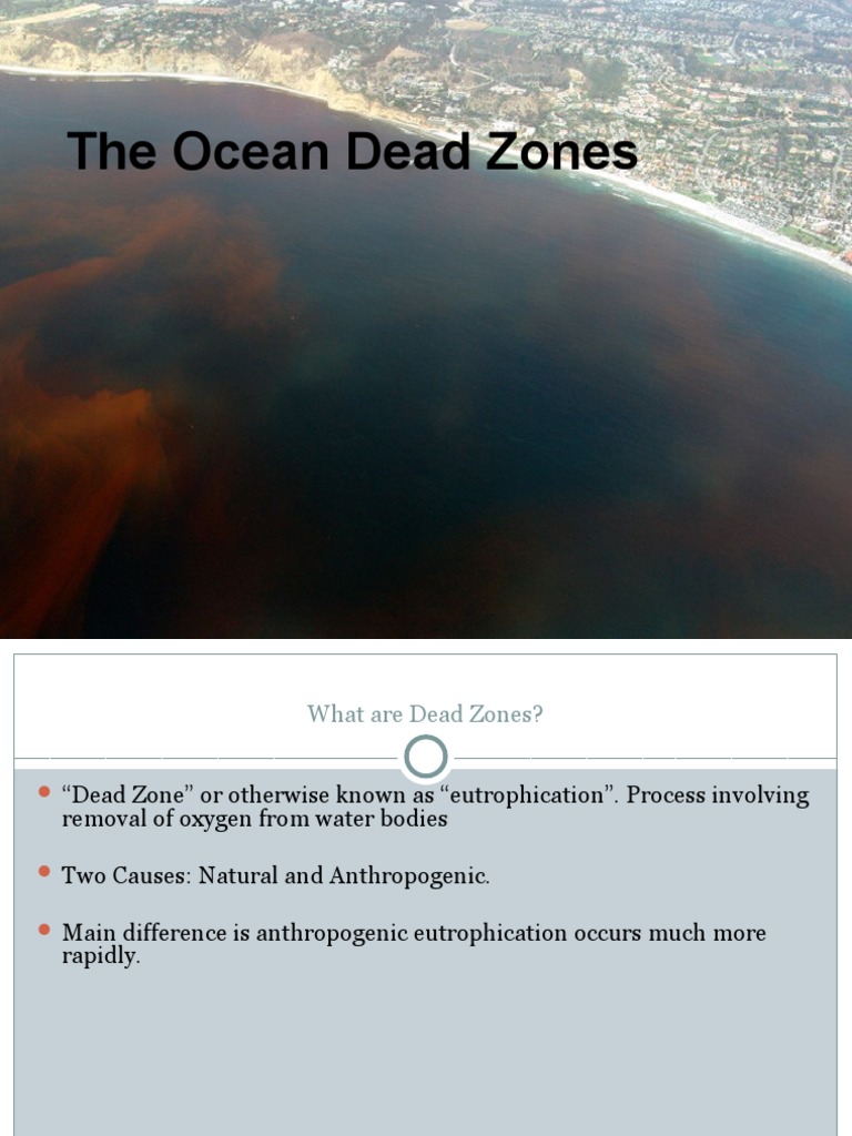 Dead Zones 1 | PDF | Eutrophication | Dead Zone (Ecology)