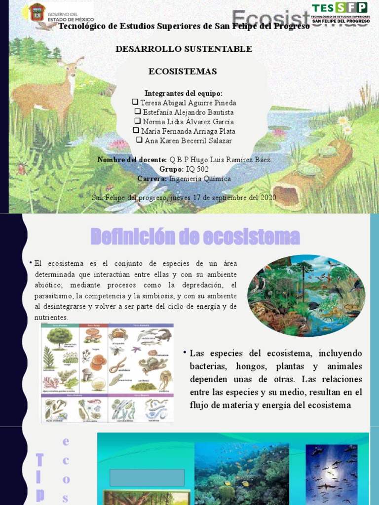 Equipo 1 Ecosistema | PDF | Ecosistema | Suelo