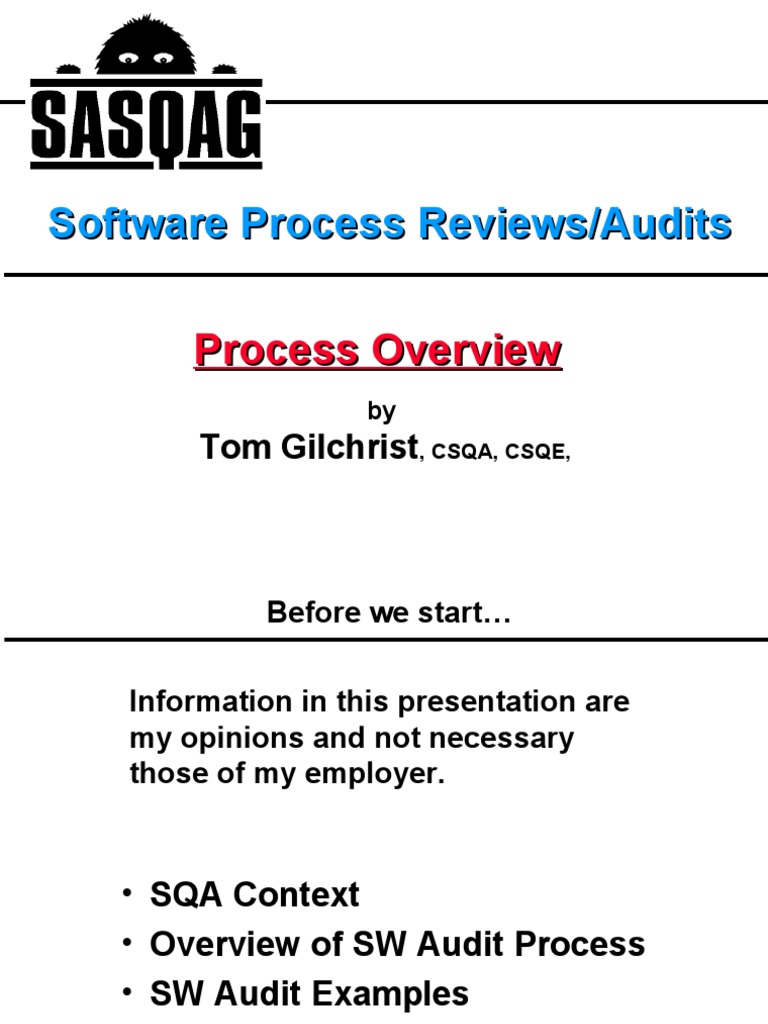 Software Audit Process Overview | PDF | Audit | Project Management