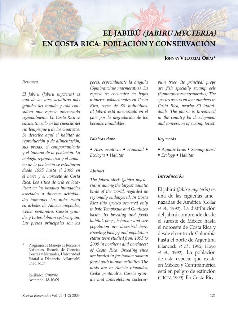 Jabirú en Costa Rica: Conservación y Ecología | PDF | Union ...