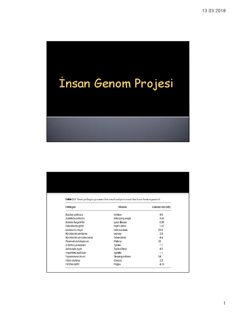 Ders-3-İnsan Genom Projesi | PDF