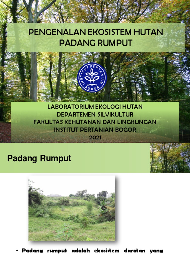 Praktikum Ke-4 Pengenalan Ekosistem Padang Rumput | PDF | Griya & Taman ...