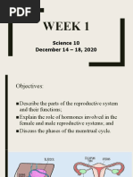Science 10 Lesson Plan: Menstrual Cycle | PDF | Menstrual Cycle ...