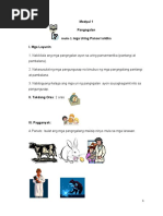 Lesson Plan Pangngalan | PDF