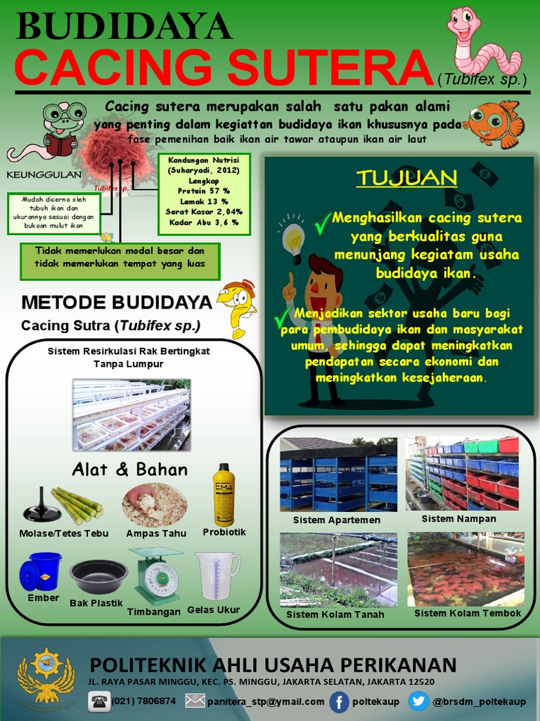 Poster Budidaya Cacing Sutra | PDF