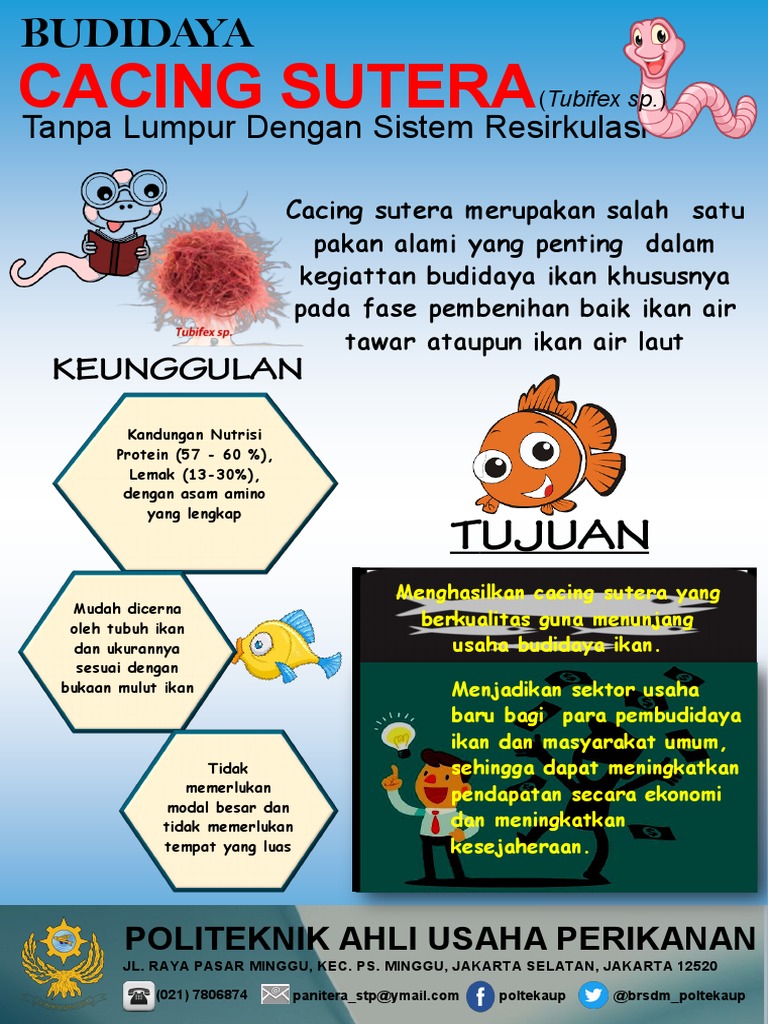 Poster Budidaya Cacing Sutra 2 | PDF