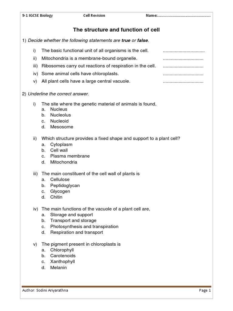 Cell Revision Worksheet | PDF | Chloroplast | Cell (Biology)