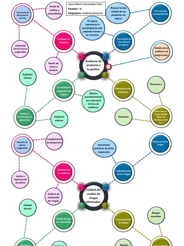Mapa Mental 12 | PDF | Seguro | Póliza de seguros