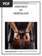 Law Enforcement Radio Codes | PDF | Sheriffs In The United States | Traffic