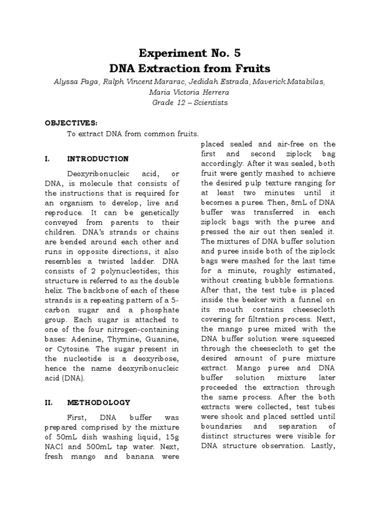Experiment No. 5 DNA Extraction From Fruits | PDF | Dna | Genetics