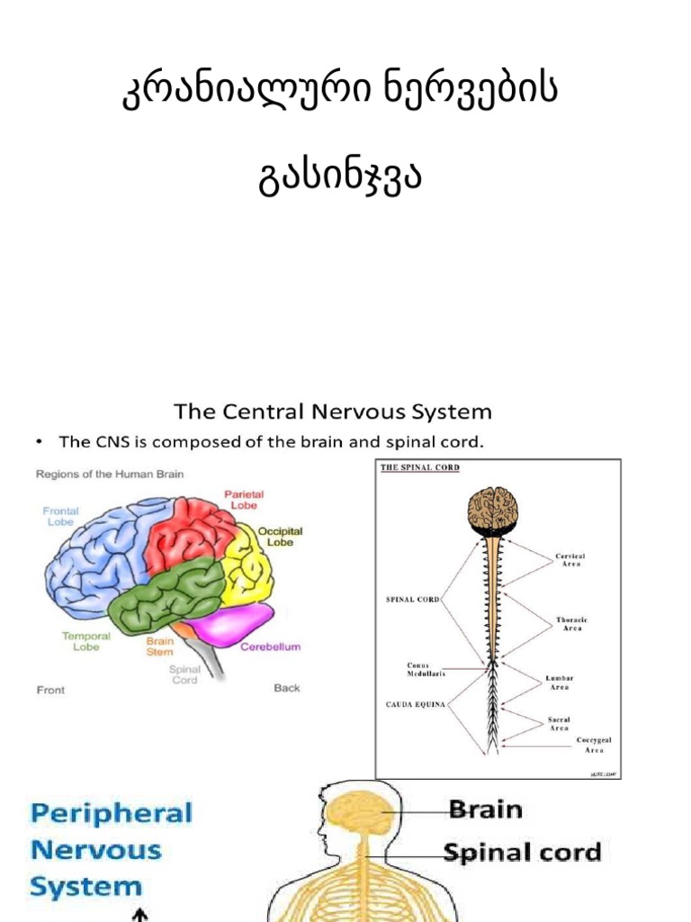 CN Examination | PDF