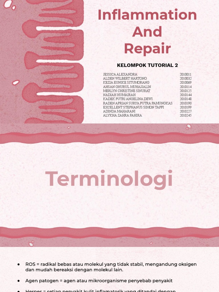 Panduan Inflamasi dan Perbaikan | PDF