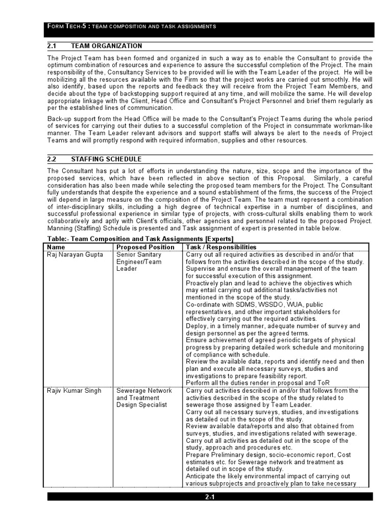 Form Tech-3 Team Composition and Task Assignment | PDF | Consultant ...