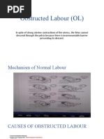 Mechanism of Labor in Breech Presentation | PDF | Fetus | Childbirth