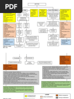 Pathophysiology of Choledocholithiasis | PDF