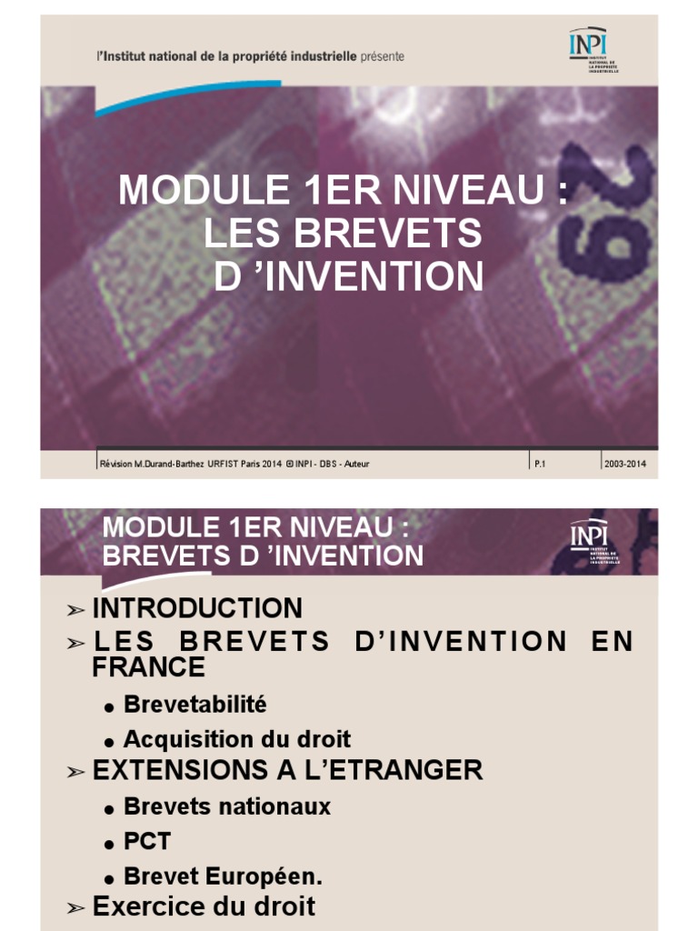 0000 Brevet Inpi | PDF | Brevet | Propriété intellectuelle