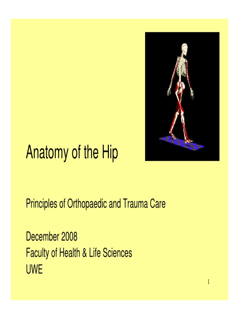Anatomy of The Hip: Principles of Orthopaedic and Trauma Care December ...