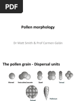 Sides Polygons | PDF | Polygon | Classical Geometry