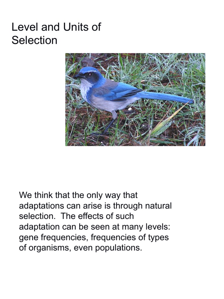 Level and Units of Selection | PDF | Natural Selection | Genetics