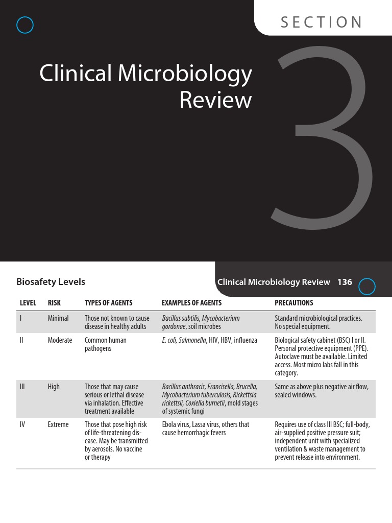 Micro Cards | PDF | Streptococcus | Staphylococcus