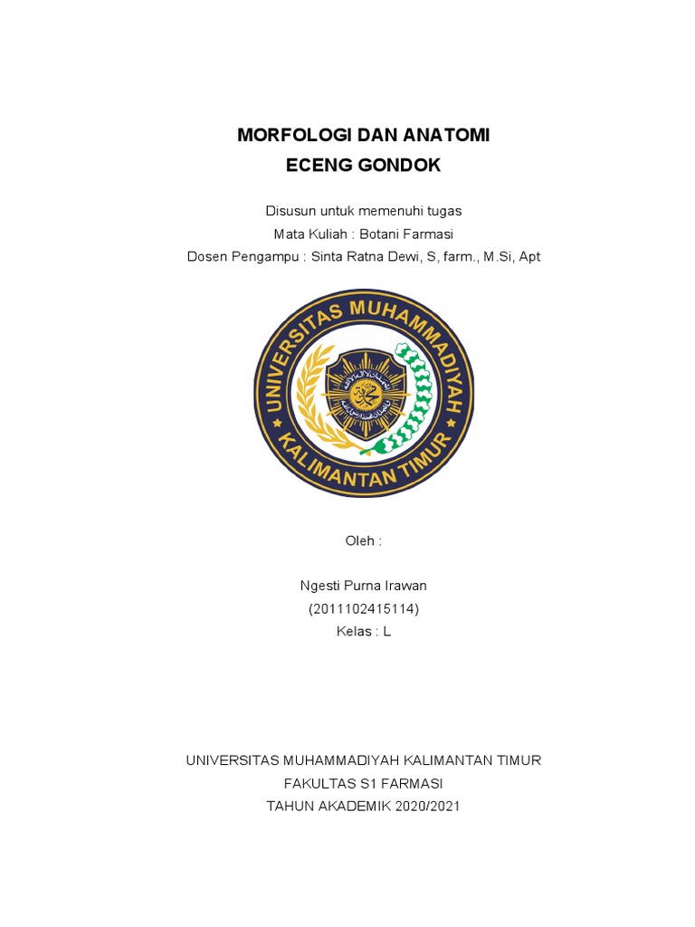 Morfologi Dan Anatomi Eceng Gondok | PDF