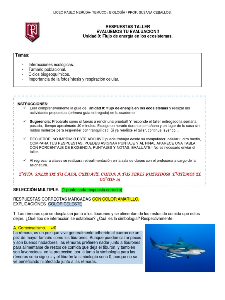 Biología - Taller Formativo 1 - Unidad 0 - Flujo de Energía en Los ...
