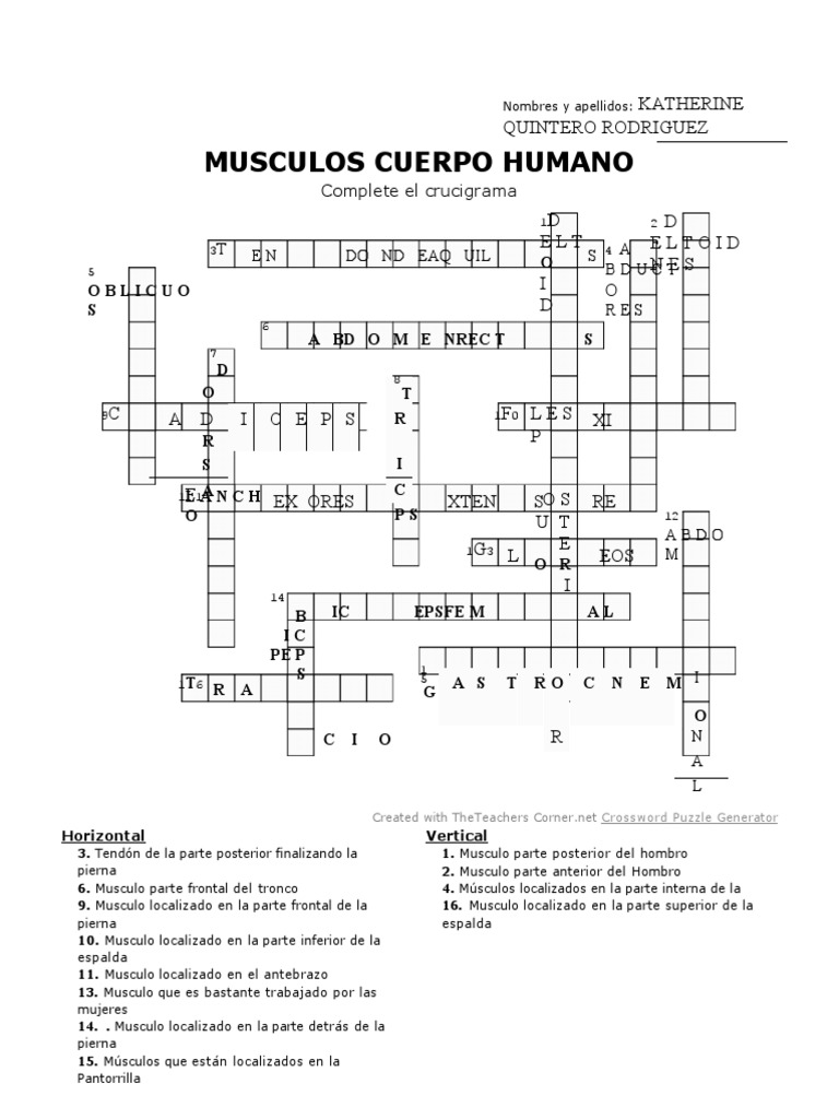Crucigrama Musculos Cuerpo Humano | PDF | Sistema musculoesquelético ...