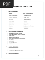 CURRICULUM VITAE BASICO Paola | PDF