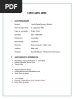 CURRICULUM VITAE BASICO Paola | PDF