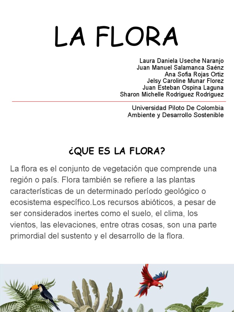 Definición y Tipos de Flora | PDF | Arboles | Ramas de la botánica