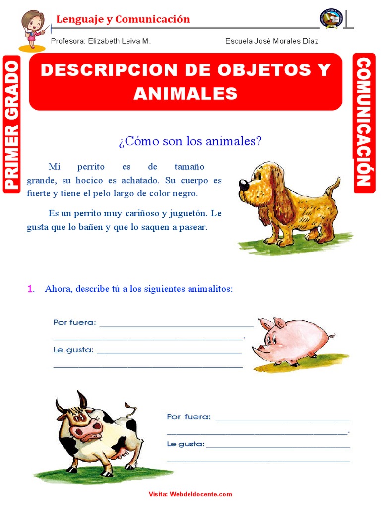 Descripción de Animales para Niños | PDF