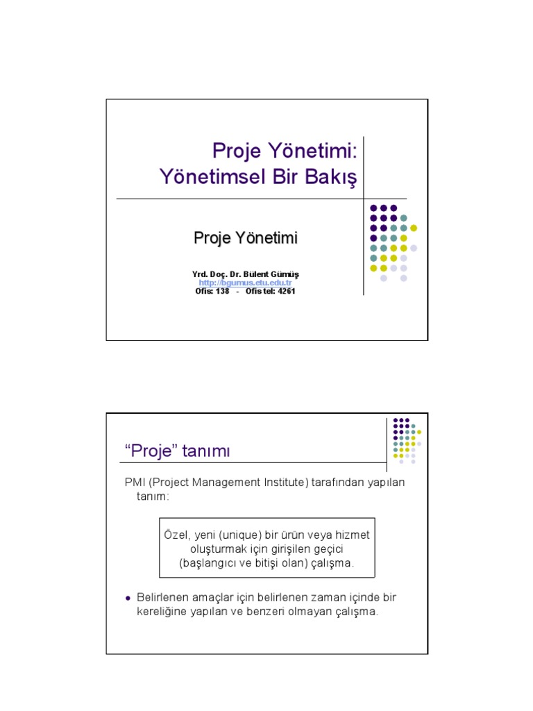 Proje Yonetimi Notlari 1 | PDF