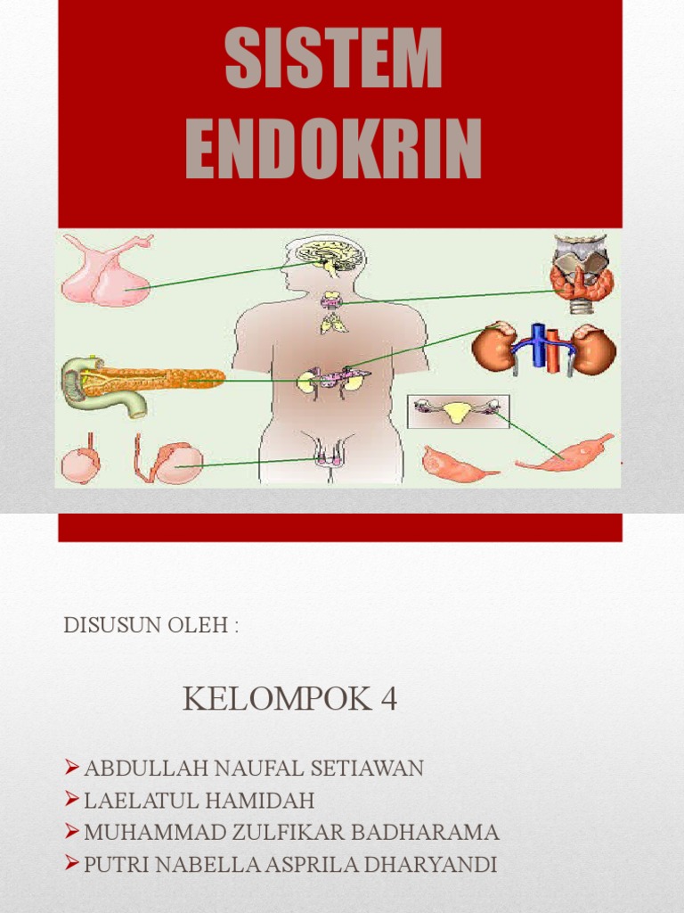 Sistem Endokrin PPT 2020 Present | PDF