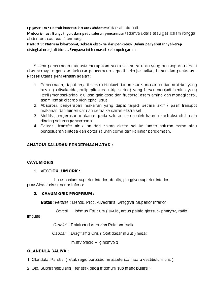 Epigastrium | PDF | Kesehatan Holistik