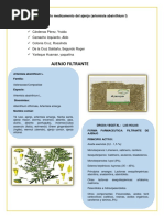 Sacha Culantro | PDF | Hierbas y especias | Alimentos