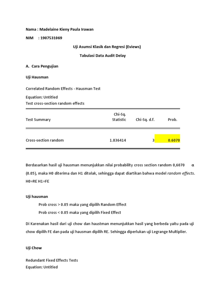 MADELAINE KIENY PAULA IRAWAN - Tabulasi Data Audit Delay | PDF