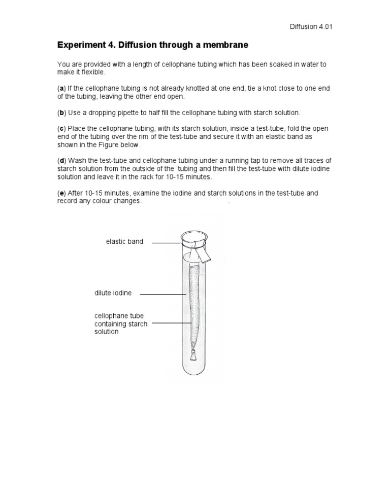 4.01 Experiment 4 Diffusion Through A Membrane | PDF