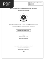 Askep Lupus (SLE) | PDF
