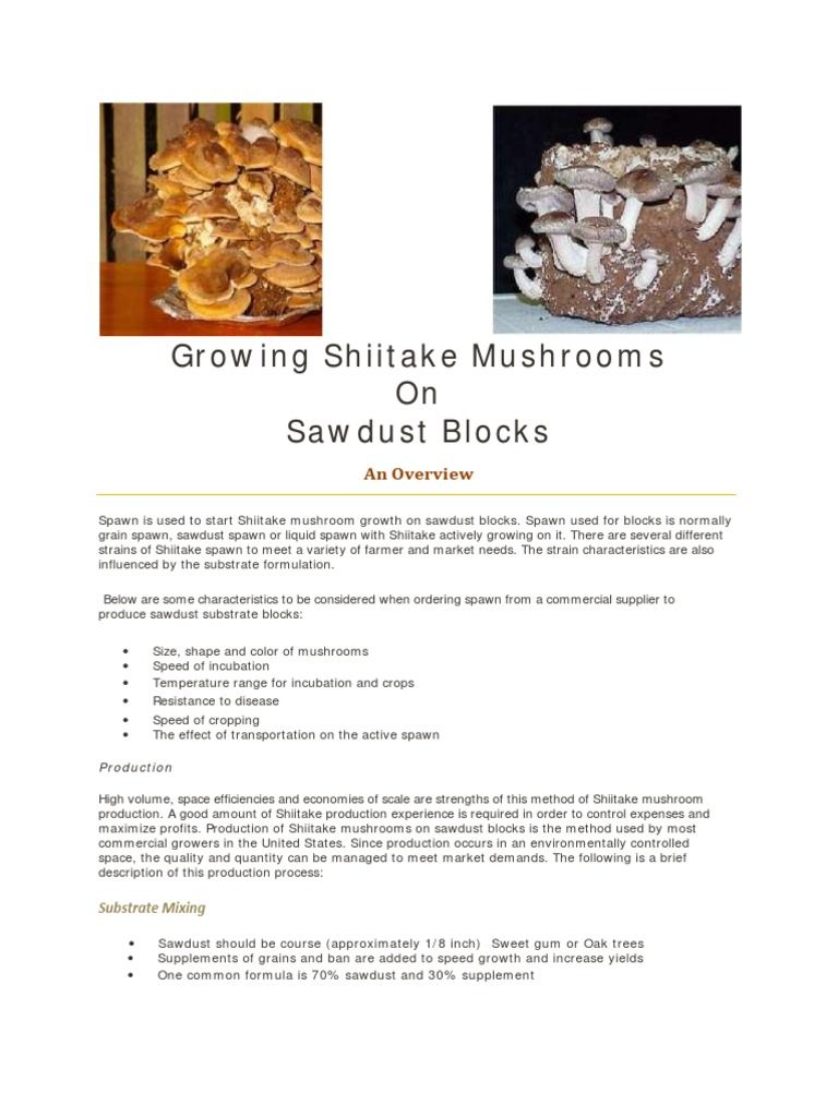 Growing Shiitake Mushrooms | PDF | Mushroom | Spawn (Biology)